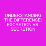 Understanding The Difference: Excretion Vs. Secretion » Differencess