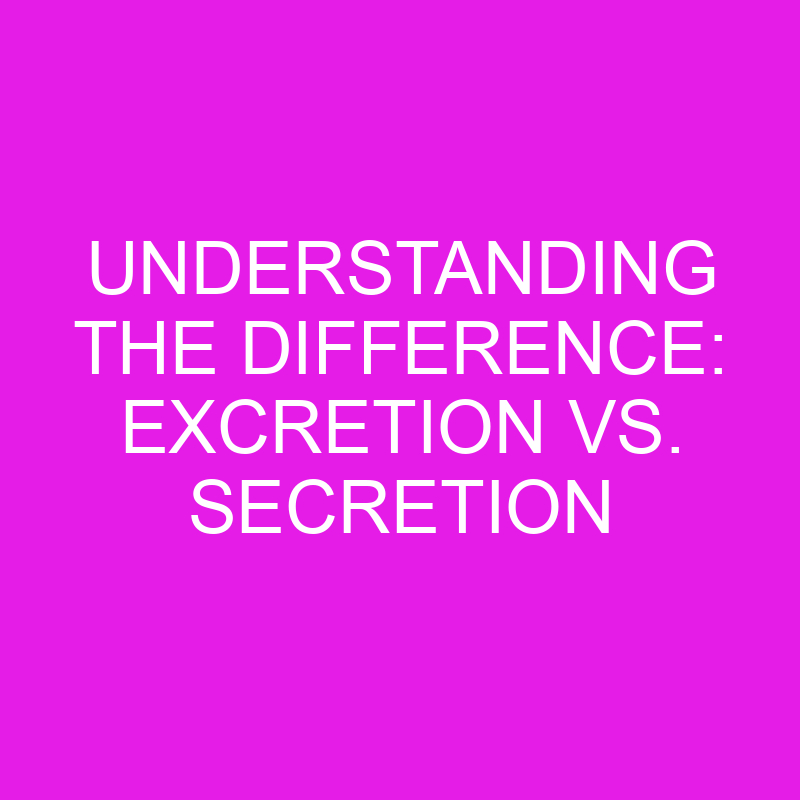Understanding The Difference: Excretion Vs. Secretion » Differencess Understanding The Difference: Excretion Vs. Secretion » Differencess