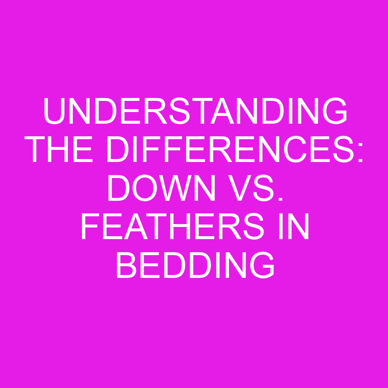 Understanding The Differences: Down Vs. Feathers In Bedding » Differencess