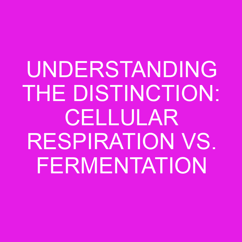 Understanding The Distinction: Cellular Respiration Vs. Fermentation ...
