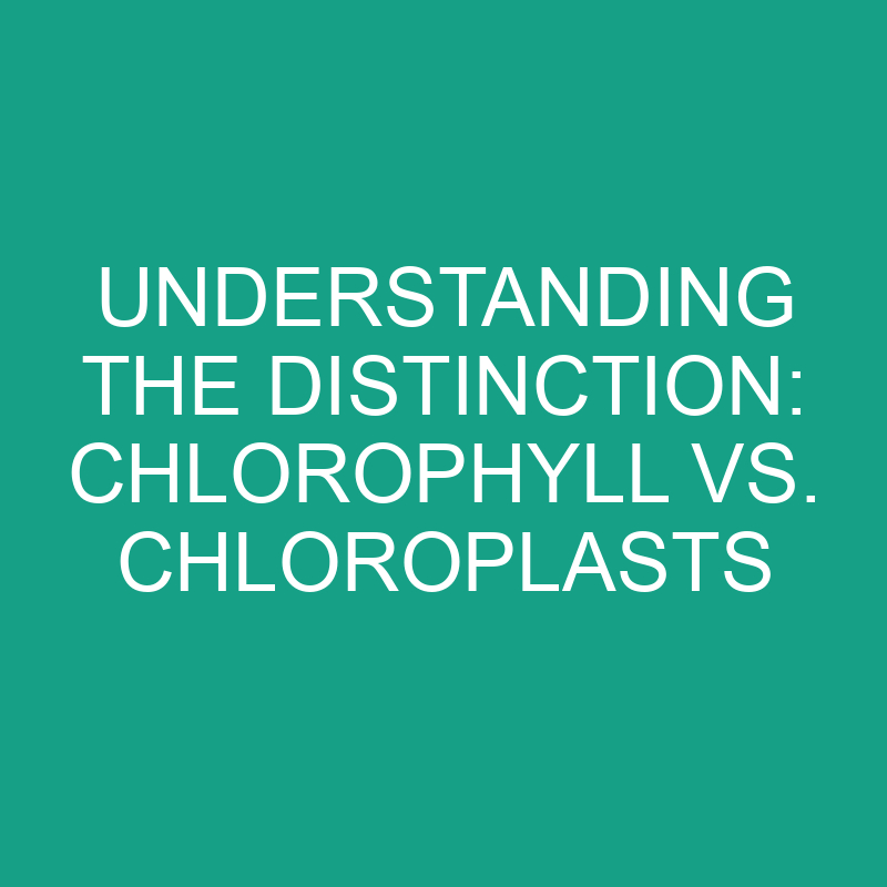 Understanding The Distinction: Chlorophyll Vs. Chloroplasts » Differencess