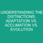 Understanding The Distinctions: Adaptation Vs. Acclimation Vs. Evolution » Differencess