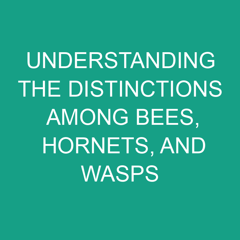 Understanding The Distinctions Among Bees, Hornets, And Wasps ...