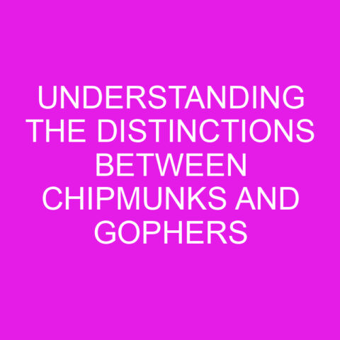 Understanding The Distinctions Between Chipmunks And Gophers » Differencess