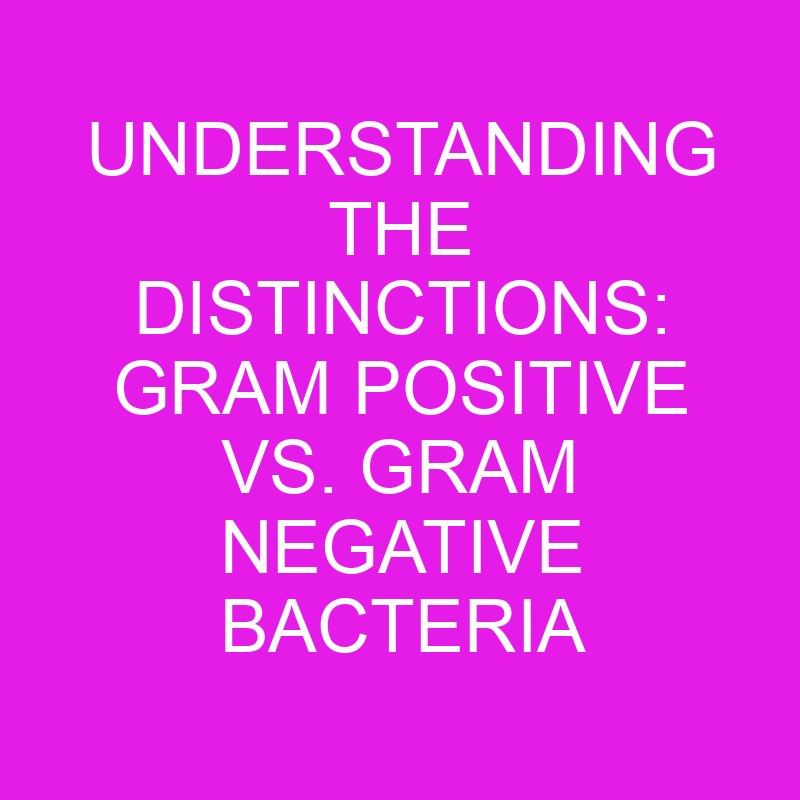 Understanding The Distinctions: Gram Positive Vs. Gram Negative ...