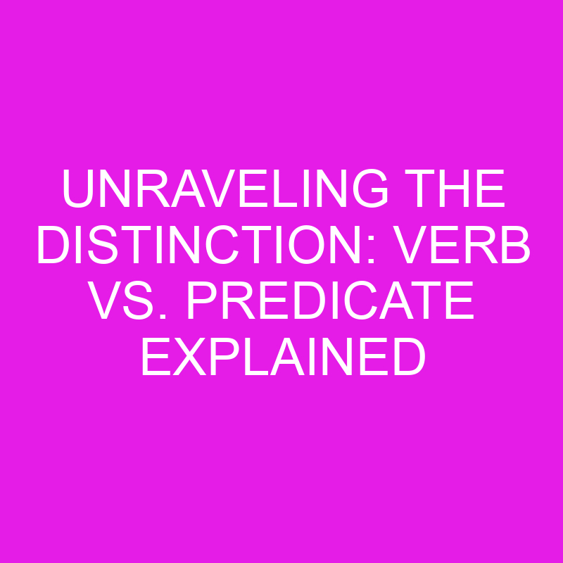 Unraveling The Distinction Verb Vs Predicate Explained Differencess