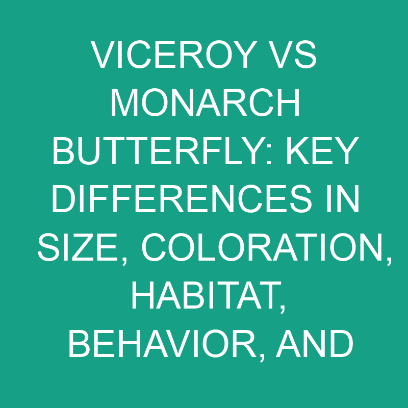 Viceroy Vs Monarch Butterfly: Key Differences In Size, Coloration ...