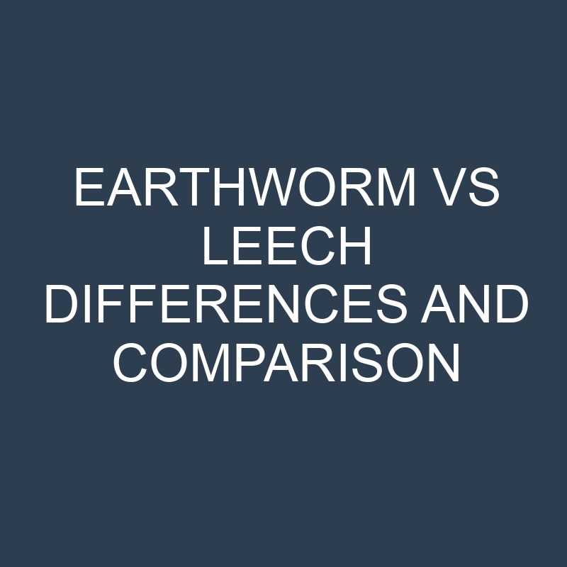 Earthworm Vs Leech Differences And Comparison » Differencess