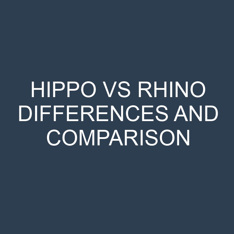 Hippo Vs Rhino Differences And Comparison » Differencess